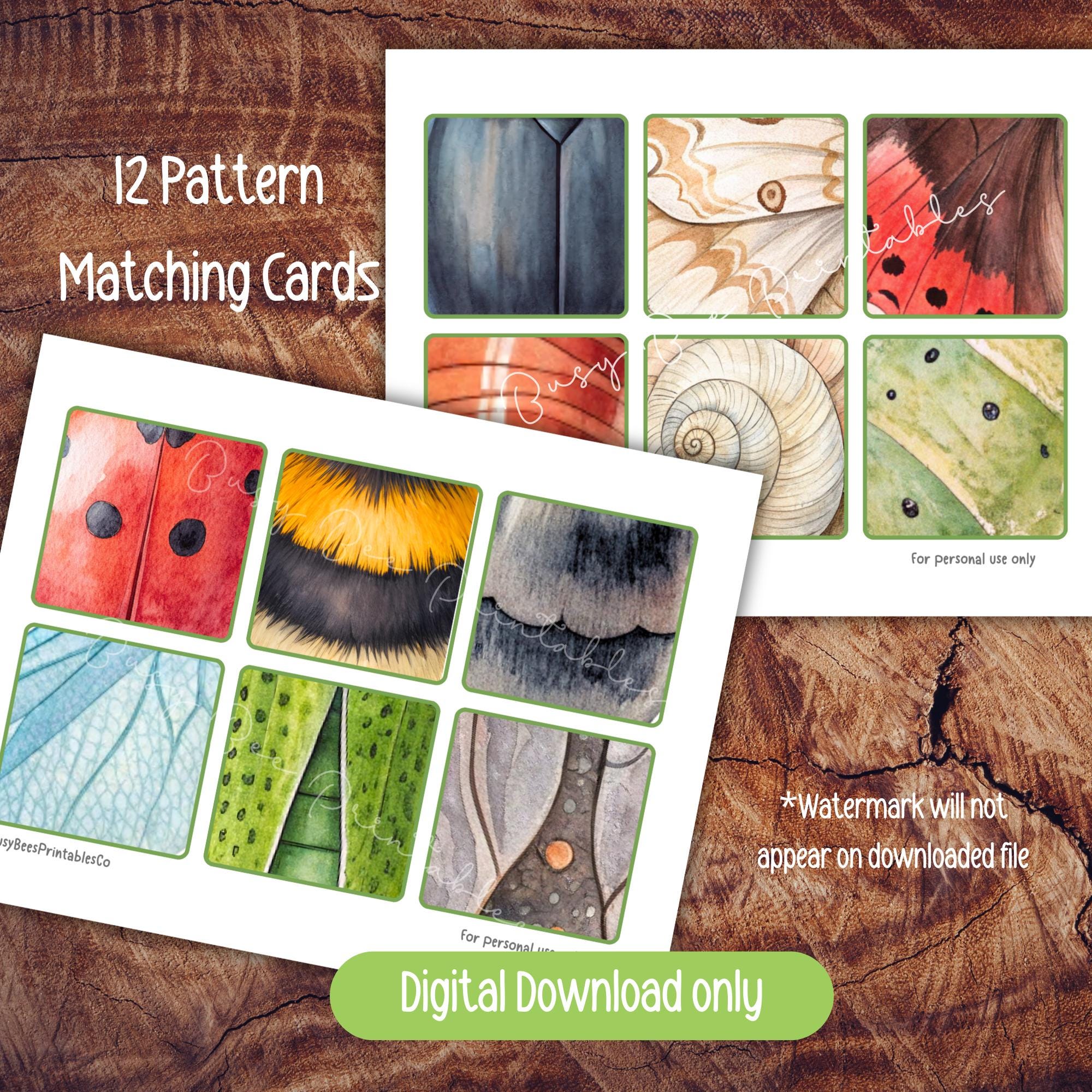 Insects Matching Activity for Kids, Bugs Pattern Matching Game, Spring ...