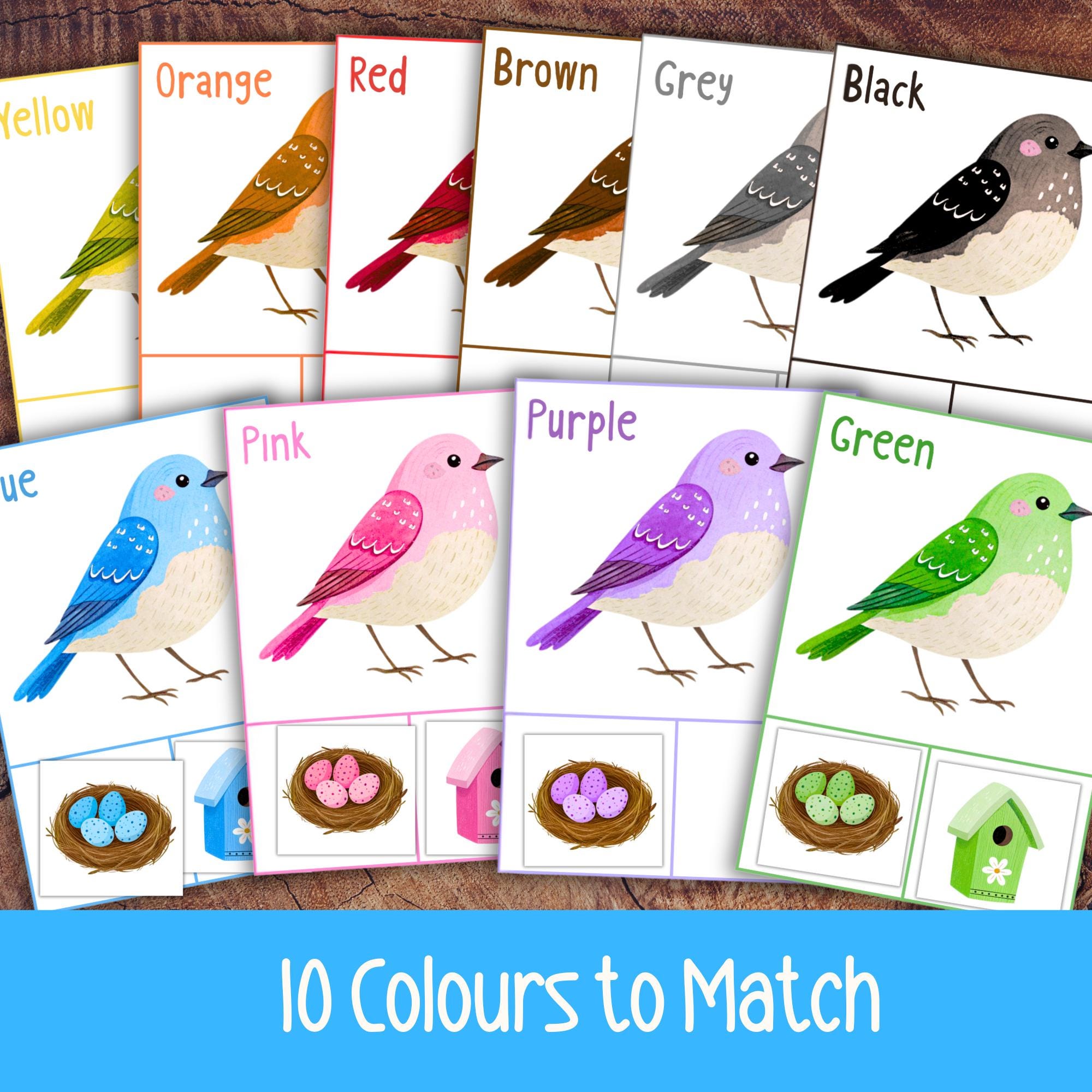Spring Colour Matching Game for Kids, Bird Color Sorting, Preschool ...