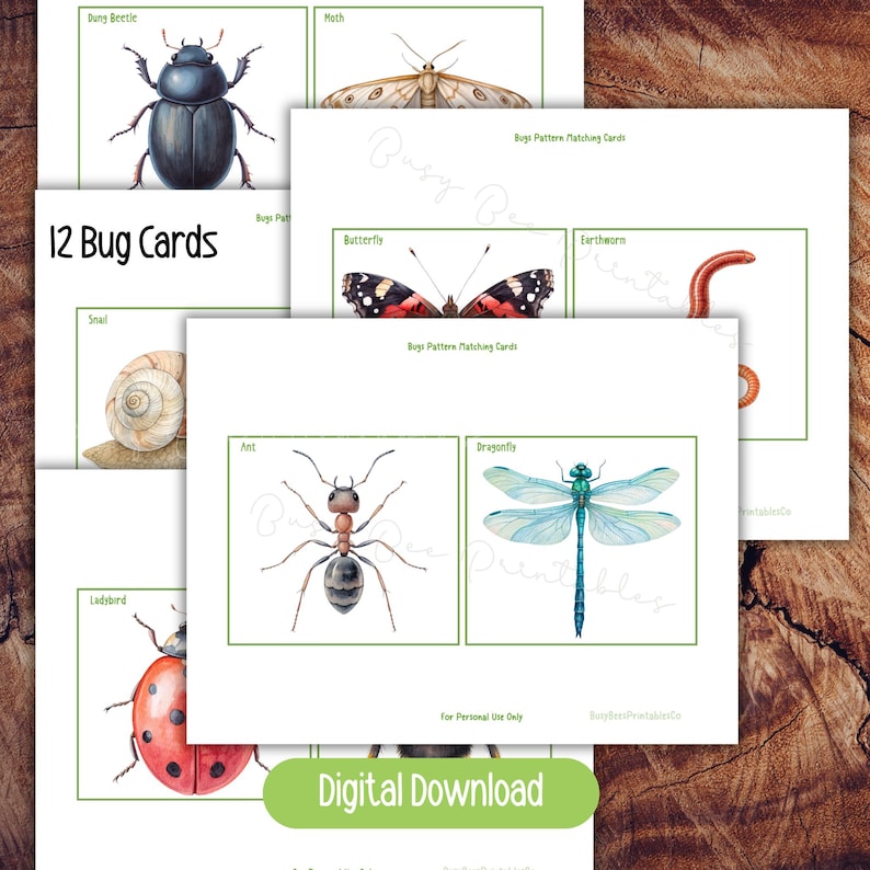 Insects Matching Activity for Kids, Bugs Pattern Matching Game, Spring ...