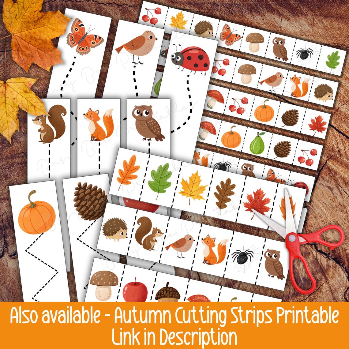 Autumn Colour Matching Game for Kids, Fall Color Sorting Jars Activity ...