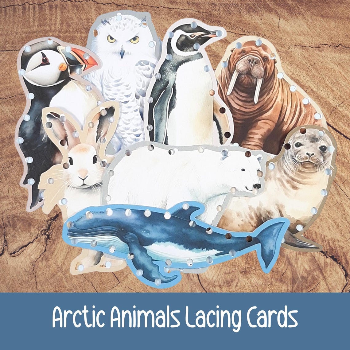 Arctic Animals Lacing Cards, Winter Lacing Cards, Early Years Preschool ...