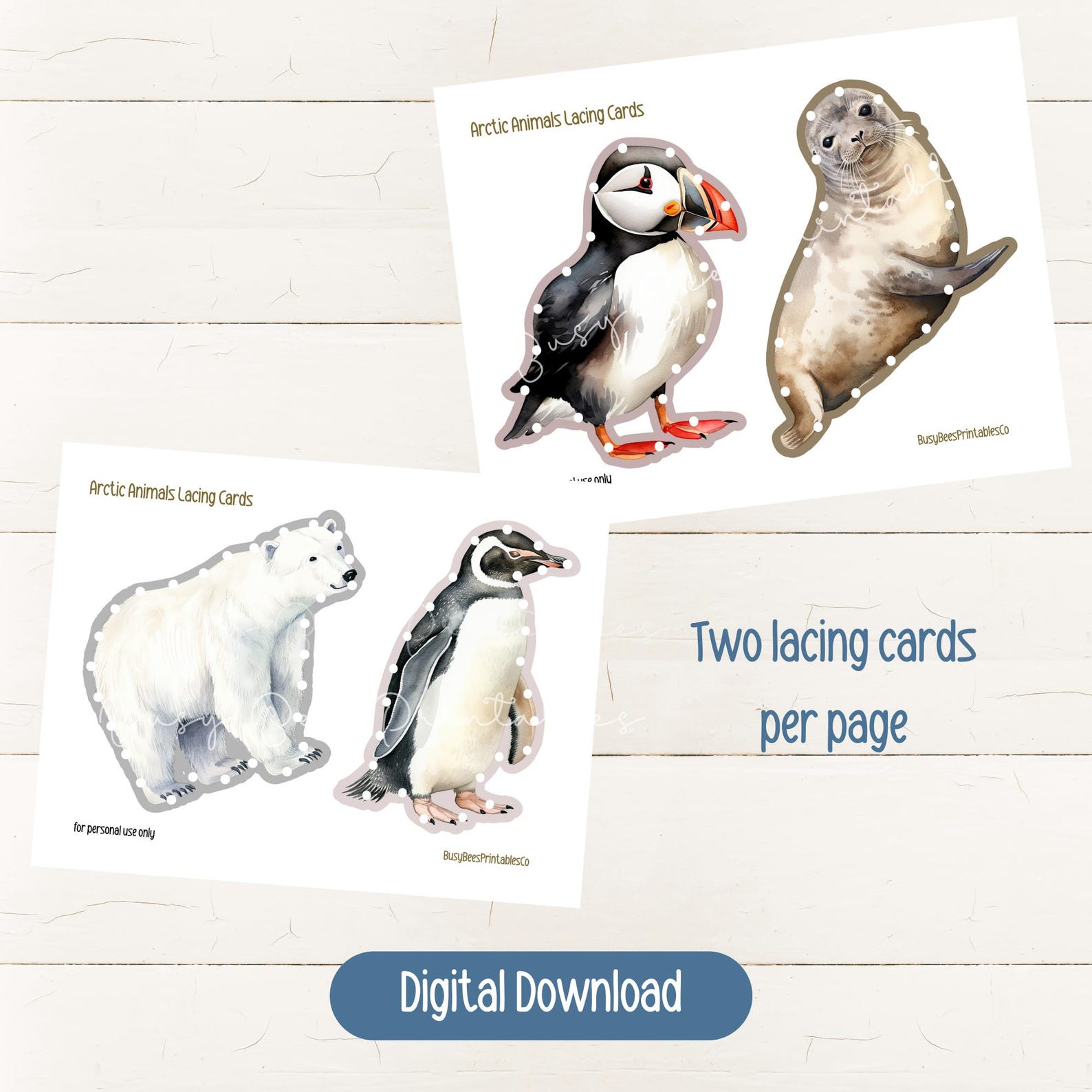 Arctic Animals Lacing Cards, Winter Lacing Cards, Early Years Preschool ...