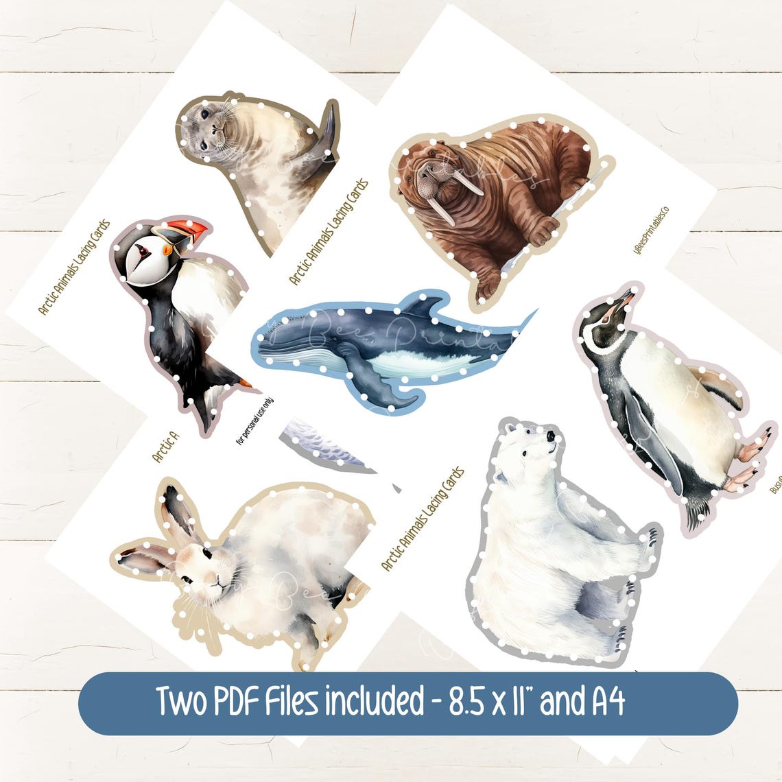 Arctic Animals Lacing Cards, Winter Lacing Cards, Early Years Preschool ...