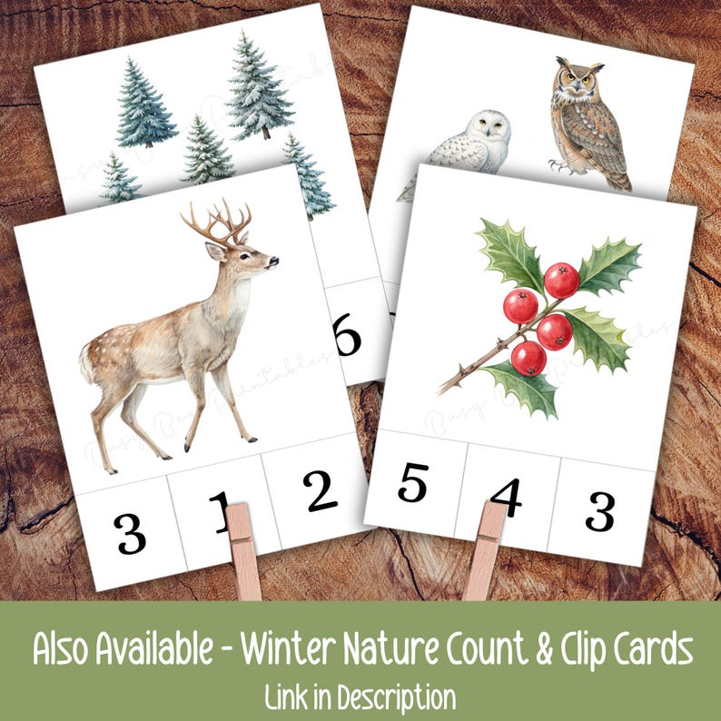 Winter Nature Number Cards, Preschool Activity Printable, Winter ...