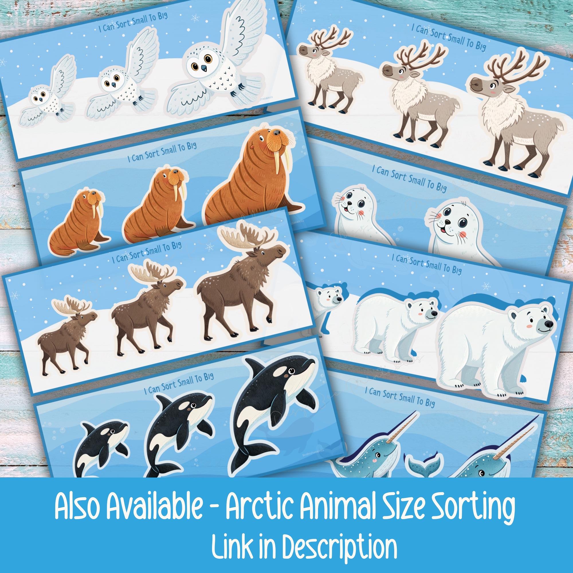 Arctic Animal Matching Game, Shadow Matching Activity, Winter Preschool ...