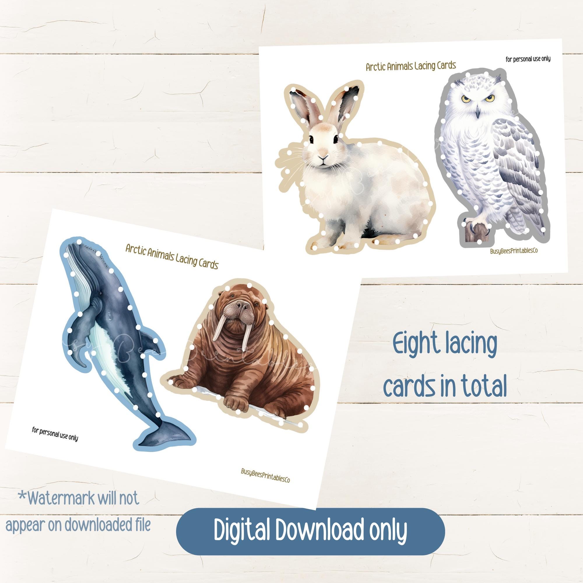 Arctic Animals Lacing Cards, Winter Lacing Cards, Early Years Preschool ...