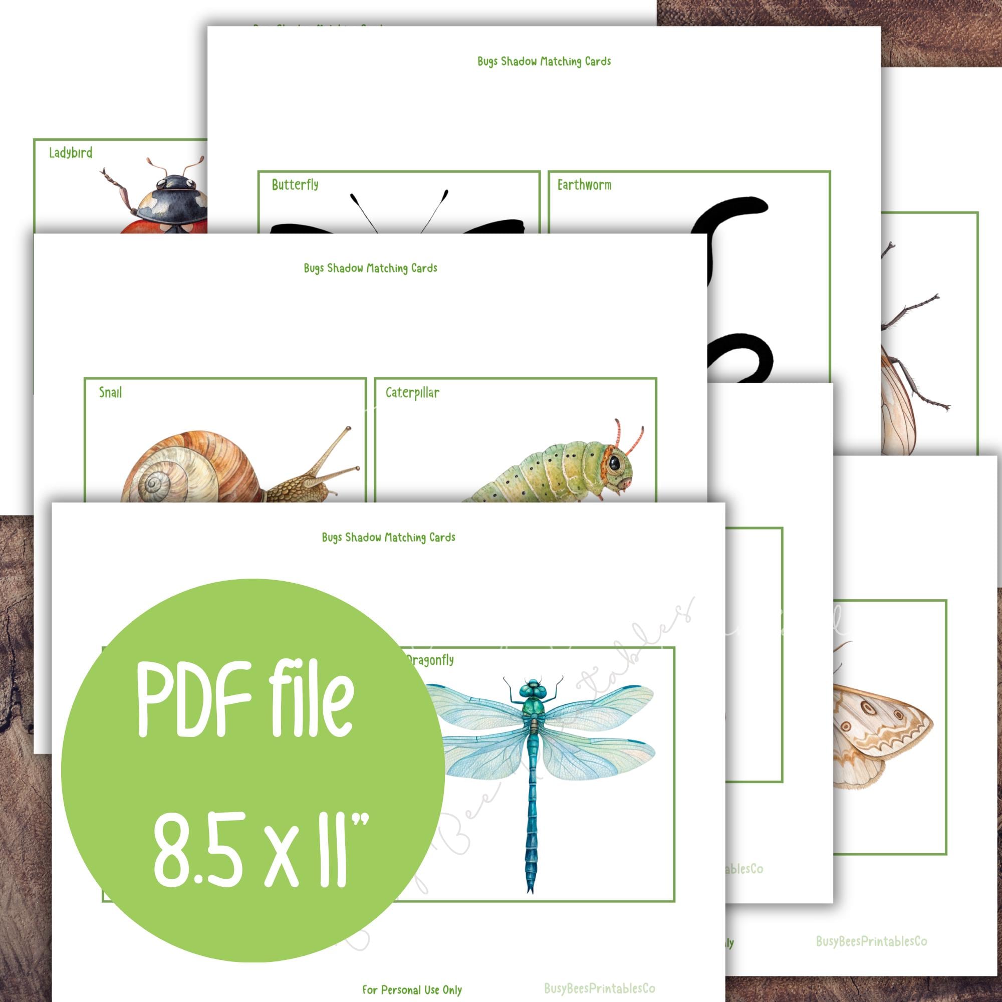 Bug Shadow Matching Cards, Montessori Printable Toddler Activity ...