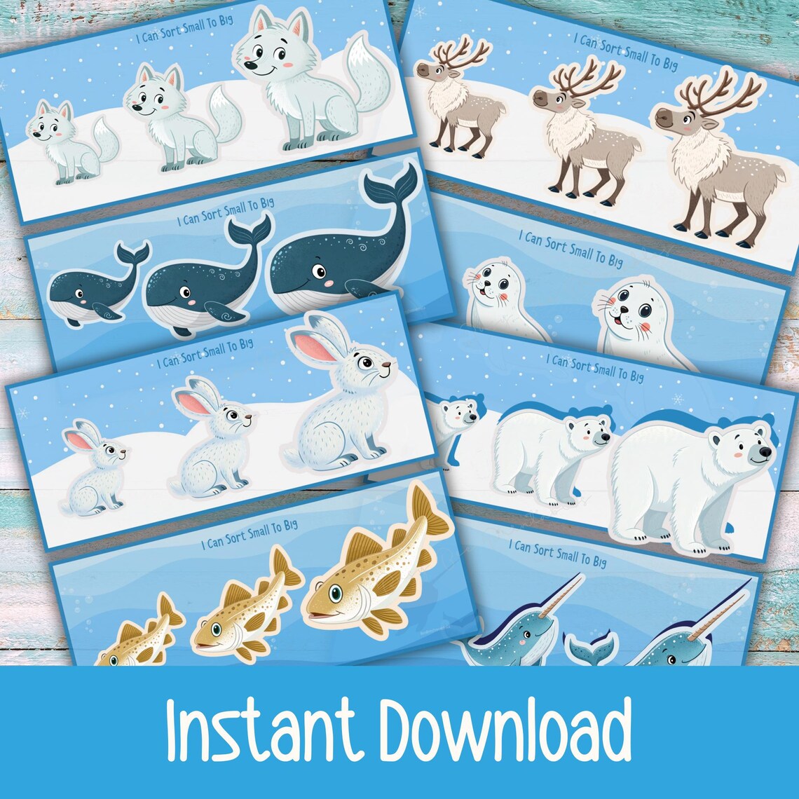 Arctic Animal Small to Big Size Sorting Activity, Winter Preschool Math ...