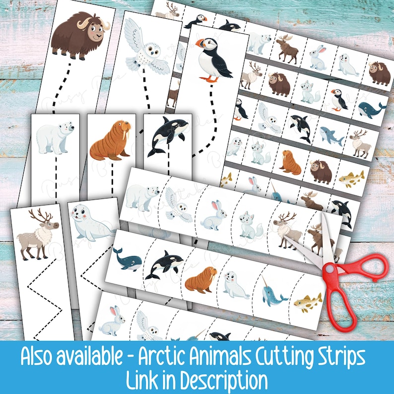 Arctic Animal Small to Big Size Sorting Activity, Winter Preschool Math ...