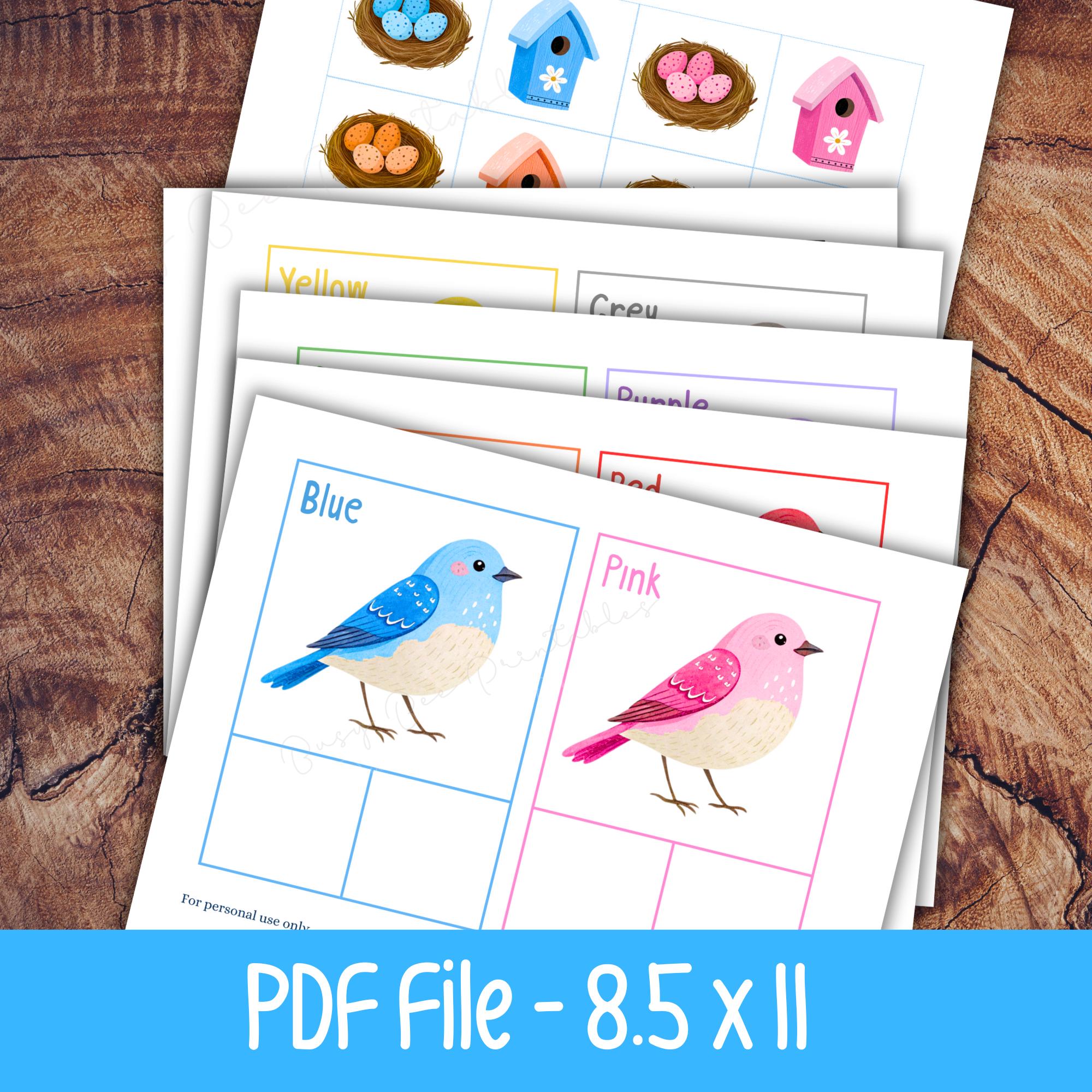 Spring Colour Matching Game for Kids, Bird Color Sorting, Preschool ...