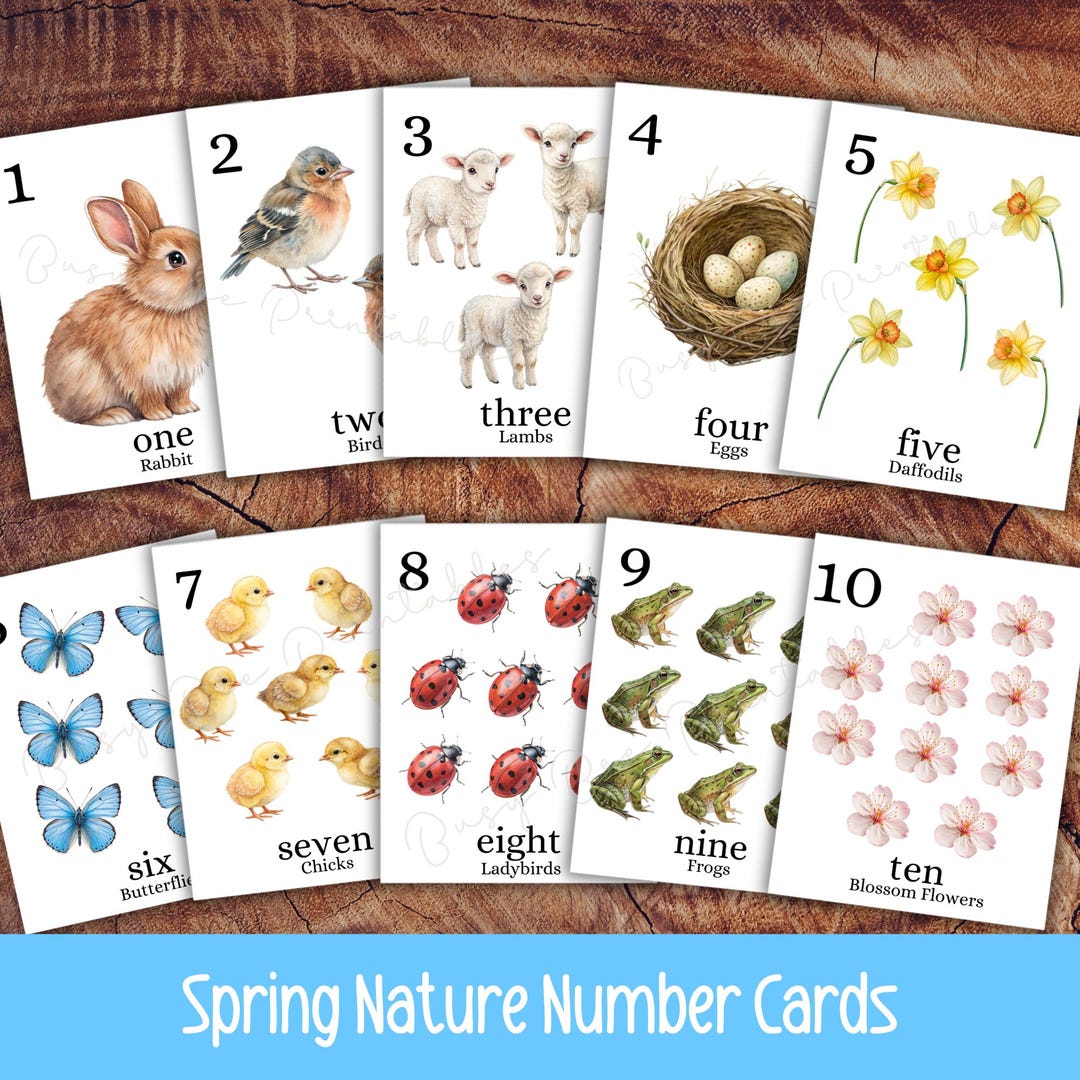 Nature Counting Cards, Spring Preschool Math Printable, Number ...