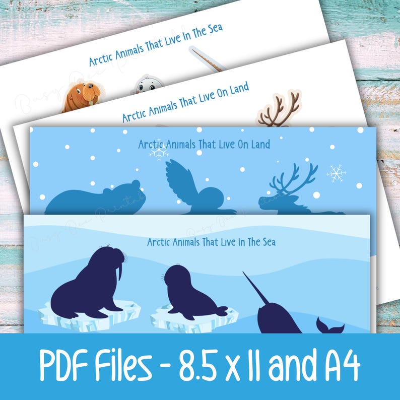 Arctic Animal Matching Game, Shadow Matching Activity, Winter Preschool ...