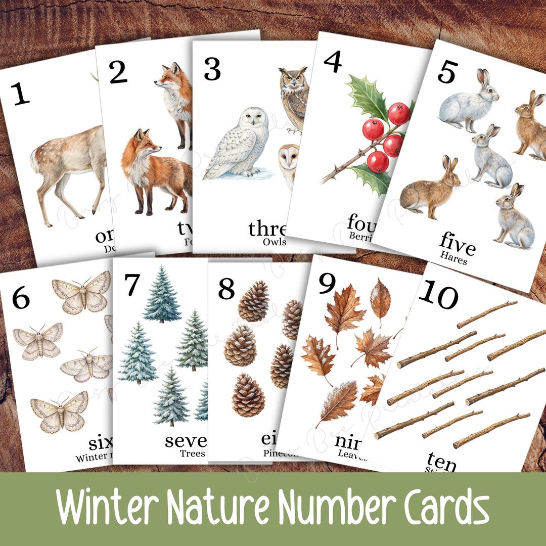 Winter Nature Number Cards, Preschool Activity Printable, Winter ...