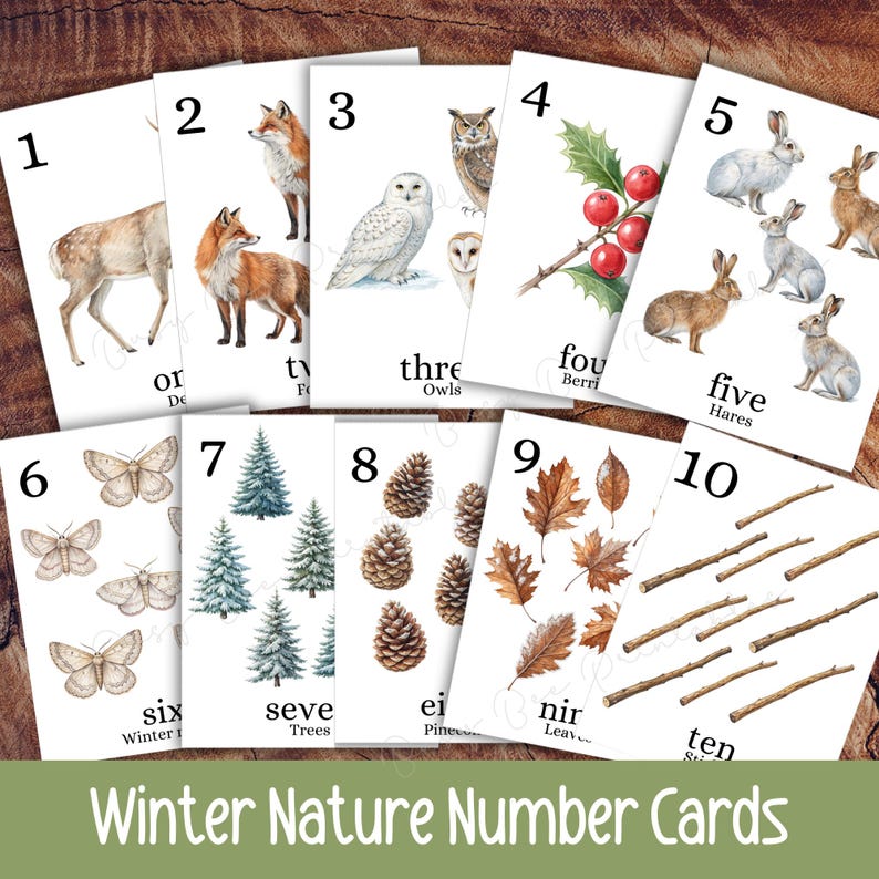 Winter Nature Number Cards, Preschool Activity Printable, Winter ...