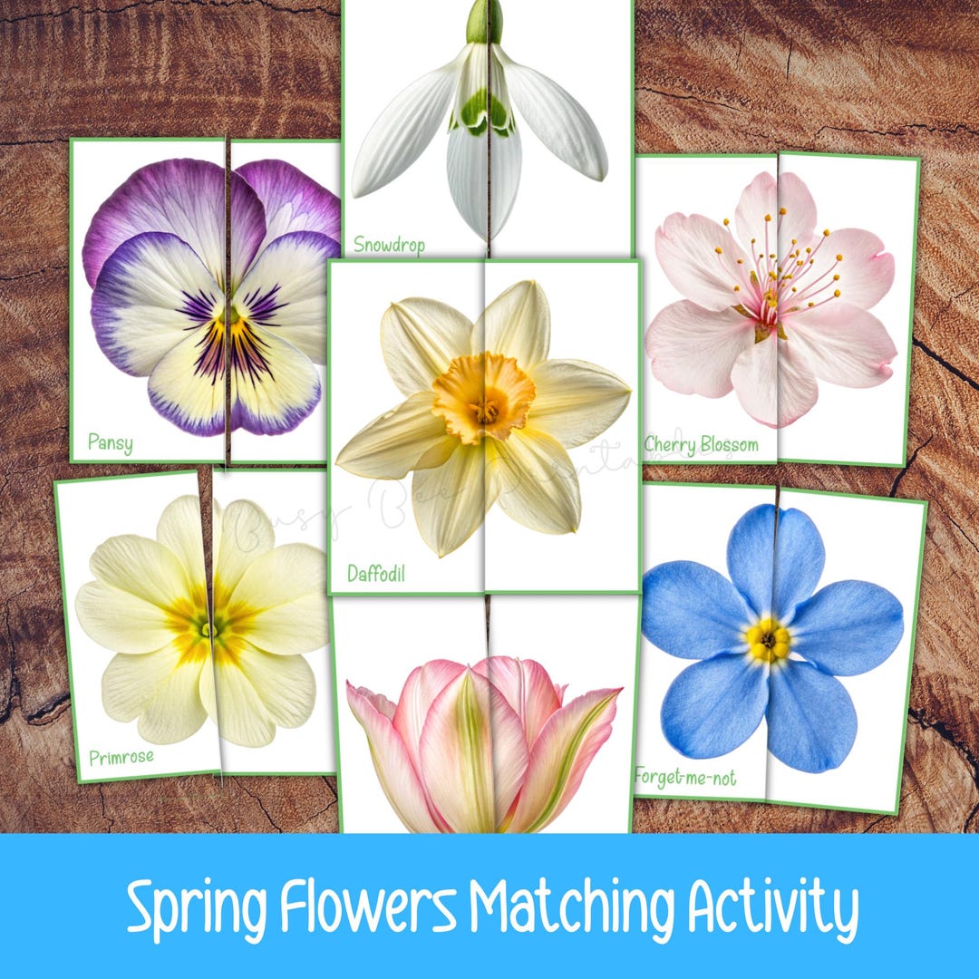 Spring Flower Matching Activity, Pattern Matching Game for Preschool ...