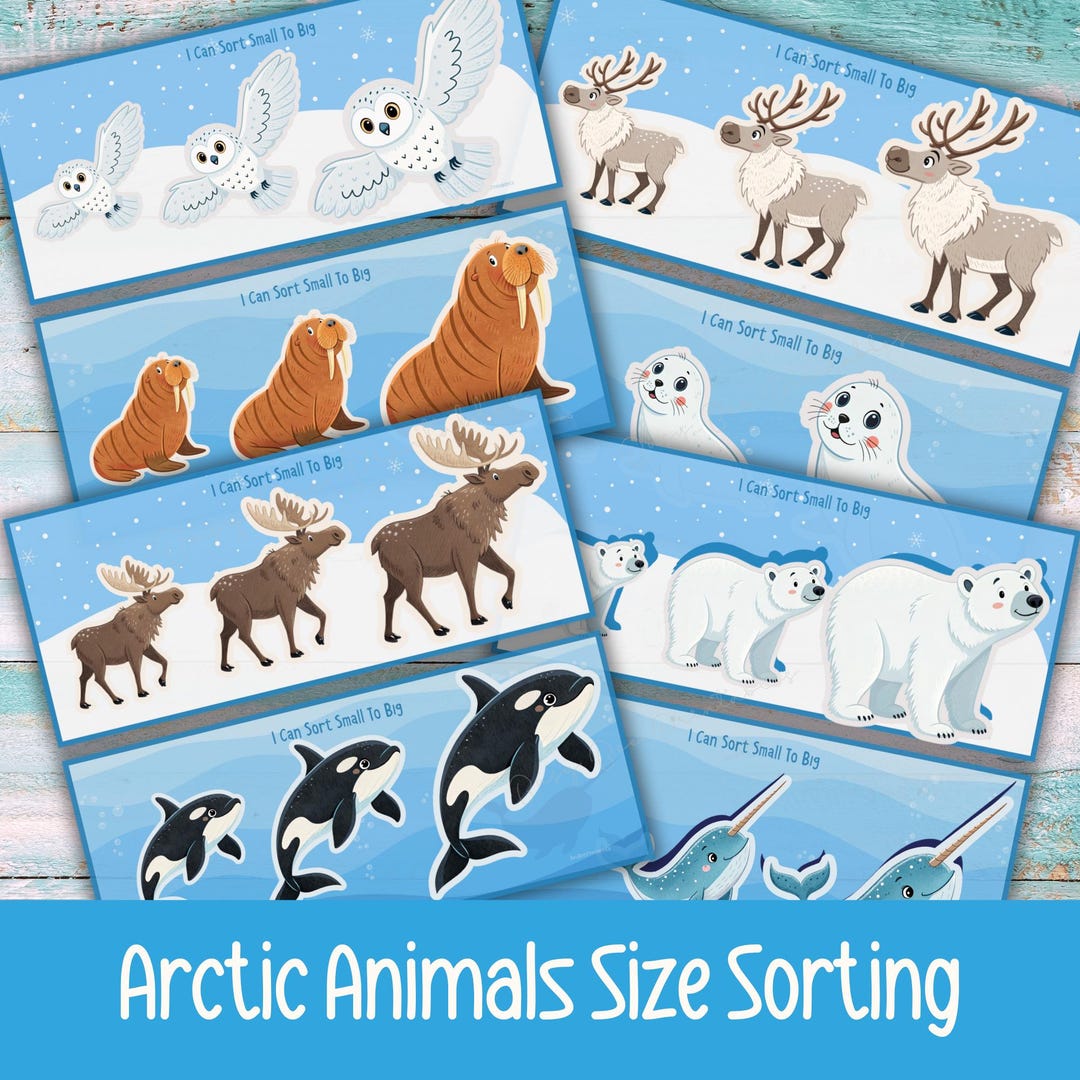 Arctic Animal Small to Big Size Sorting Activity, Winter Preschool Math ...