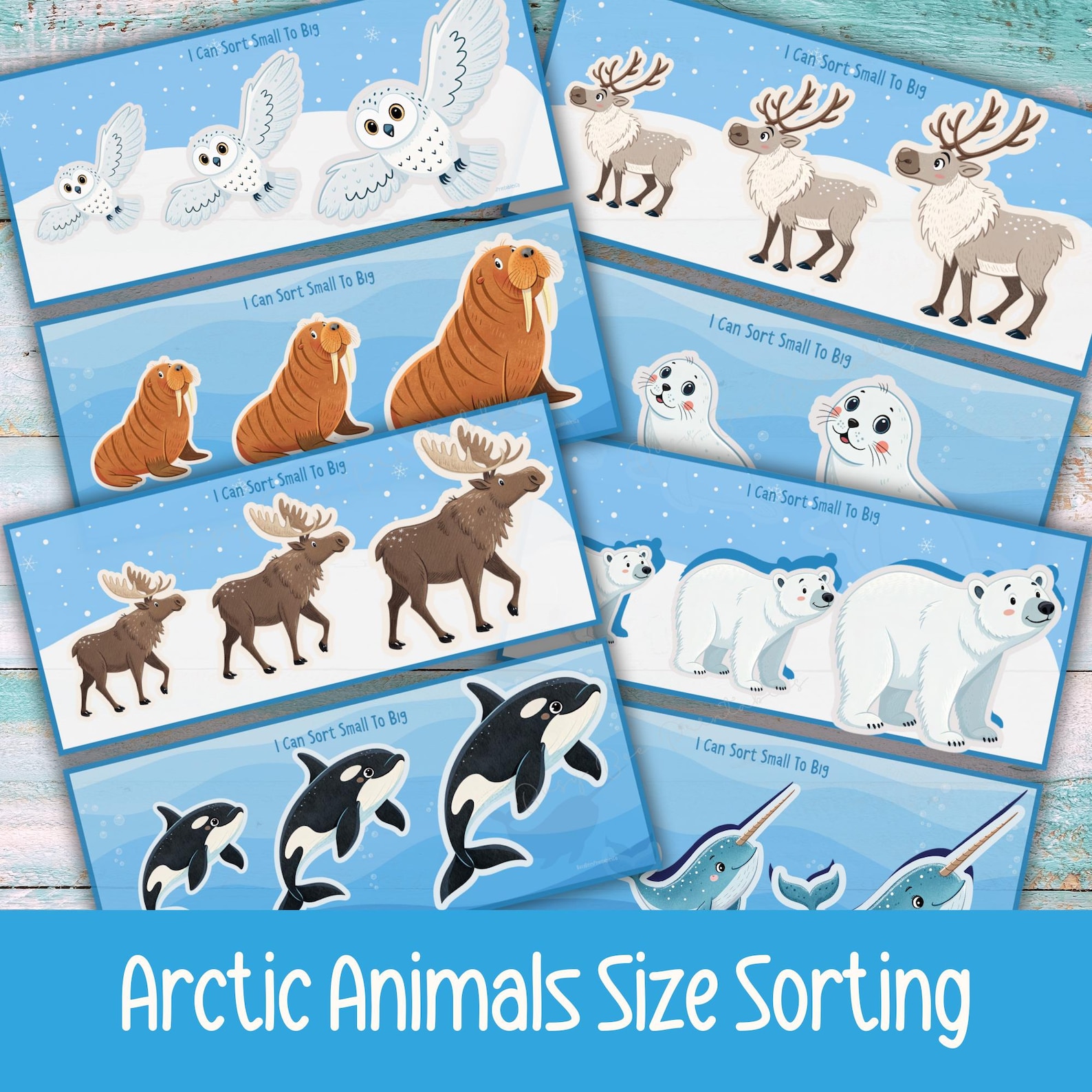 Arctic Animal Small to Big Size Sorting Activity, Winter Preschool Math ...
