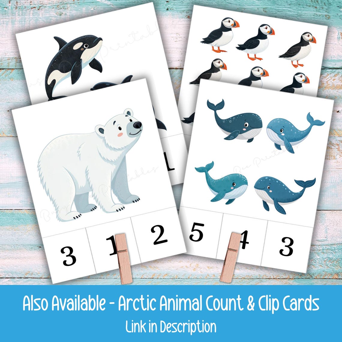 Arctic Animal Small to Big Size Sorting Activity, Winter Preschool Math ...