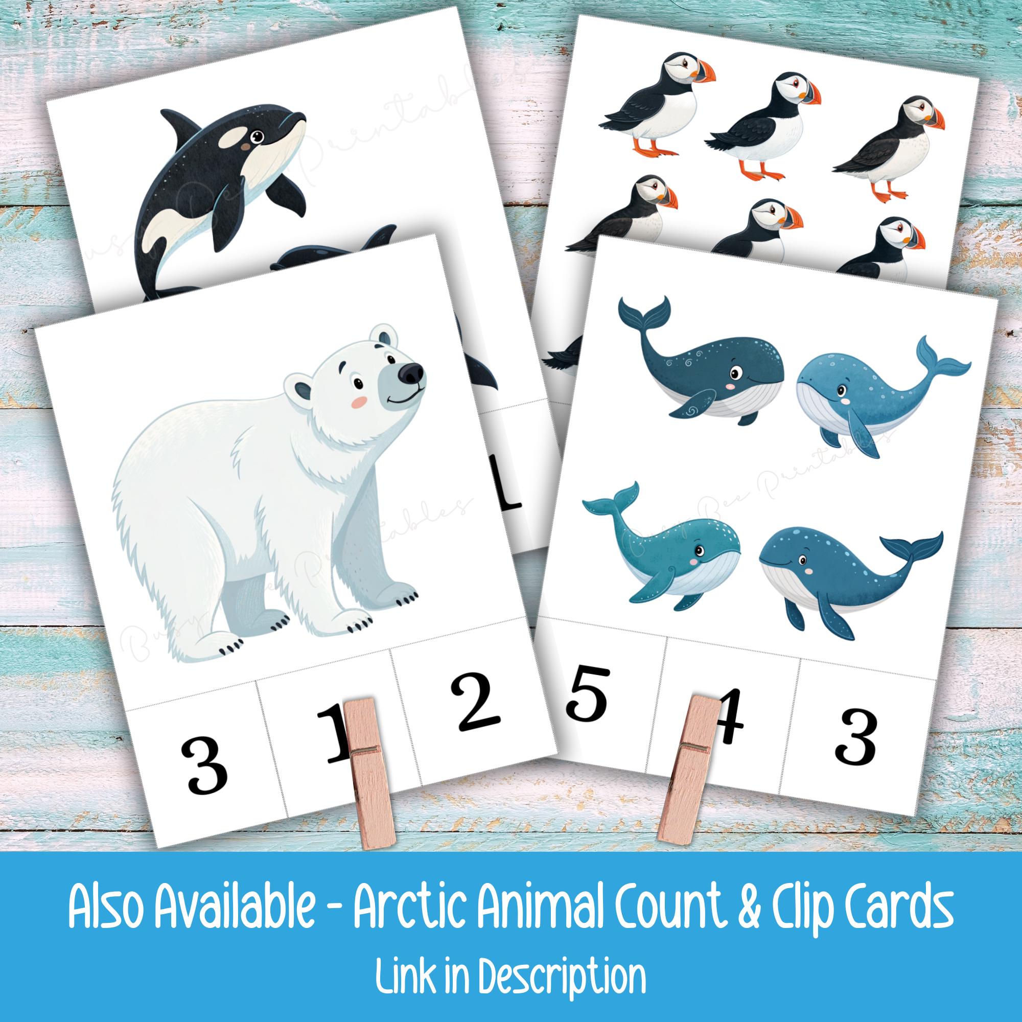 Arctic Animal Small to Big Size Sorting Activity, Winter Preschool Math ...