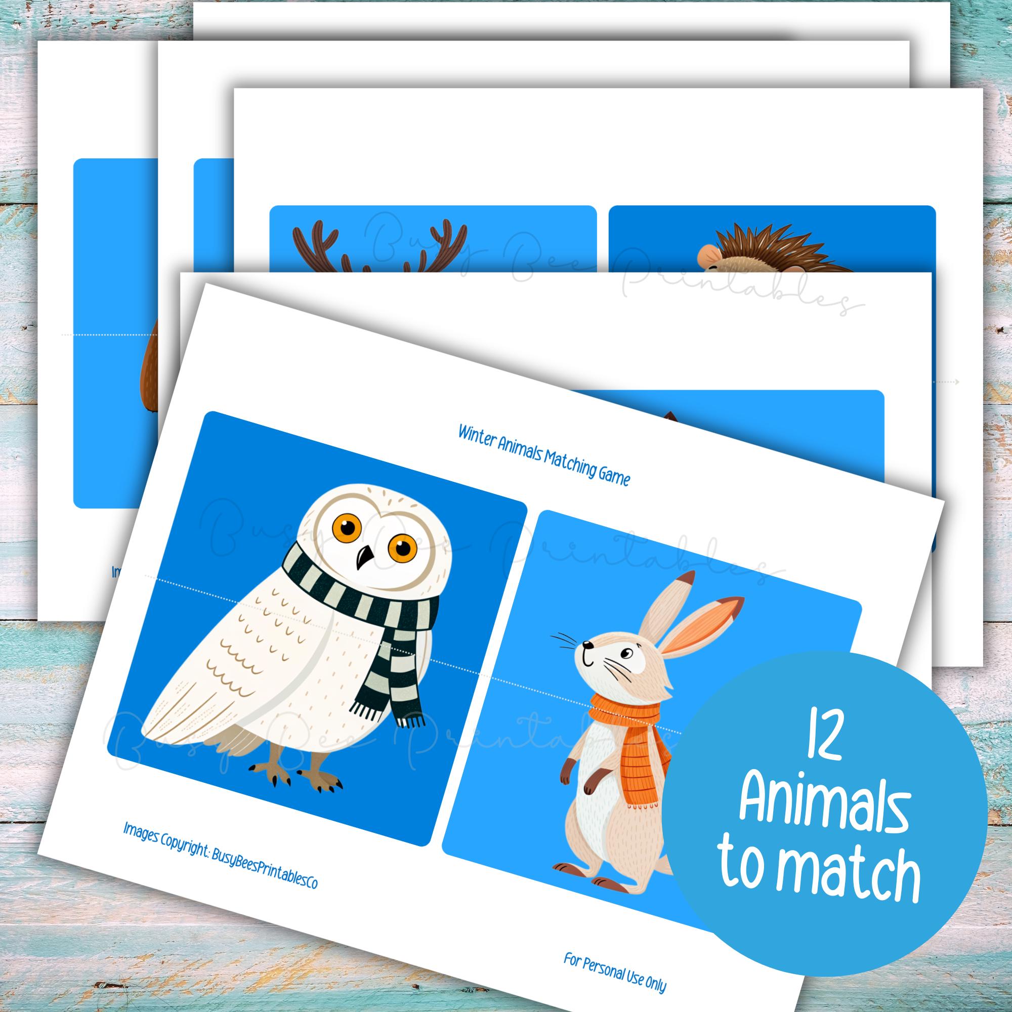 Animal Matching Activity, Winter Matching Game for Preschool & Toddlers ...