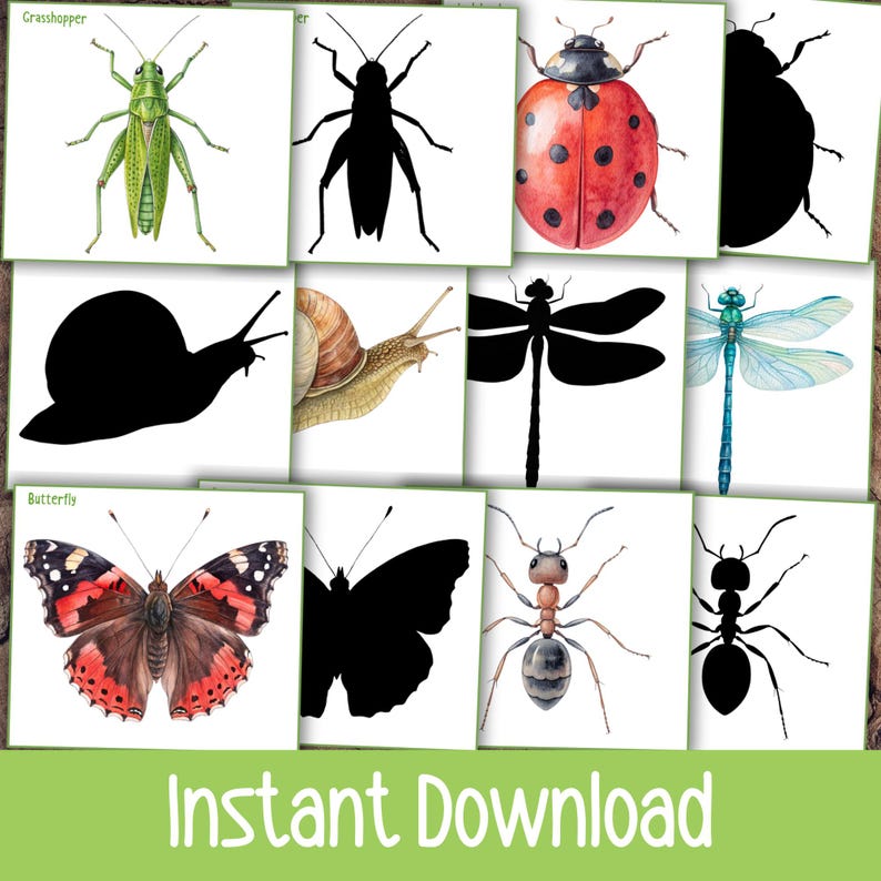 Bug Shadow Matching Cards, Montessori Printable Toddler Activity ...