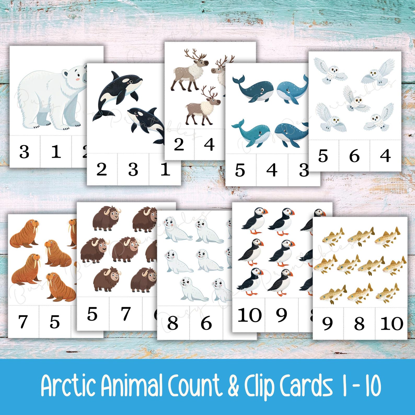 Arctic Animals Count and Clip Cards, Winter Counting Activity for ...
