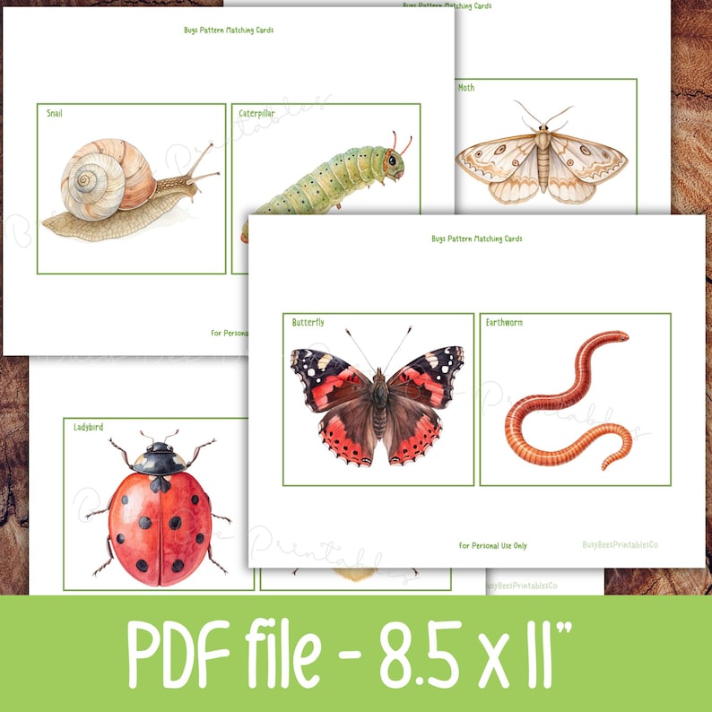 Insects Matching Activity for Kids, Bugs Pattern Matching Game, Spring ...