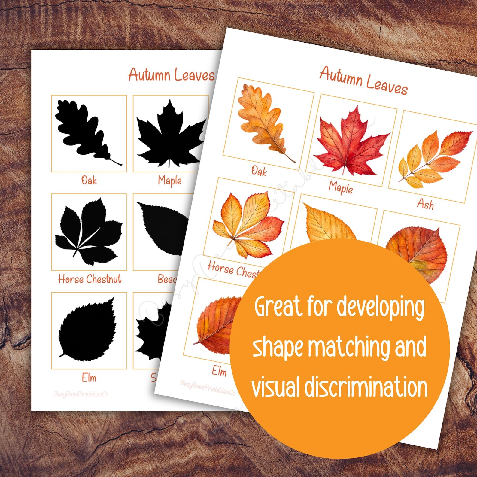 Autumn Leaves Shadow Matching, Printable Fall Leaf Activity for ...