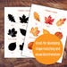 Autumn Leaves Shadow Matching, Printable Fall Leaf Activity for ...