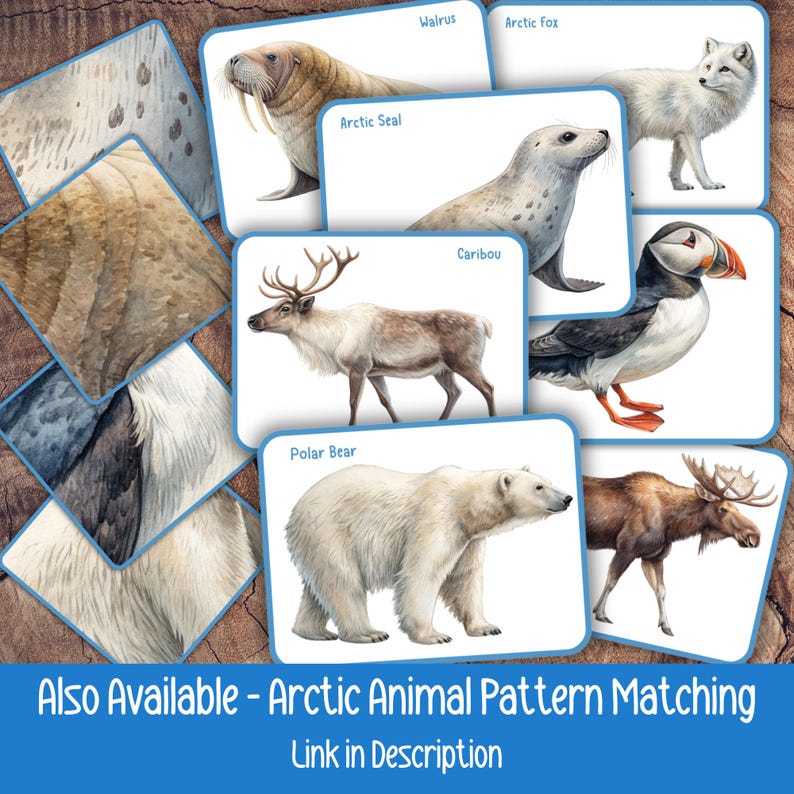 Arctic Animal Number Cards, Preschool Counting Activity Printable ...
