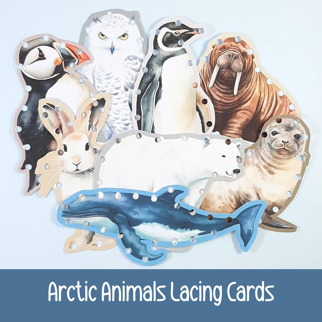 Arctic Animals Lacing Cards, Winter Lacing Cards, Early Years Preschool ...