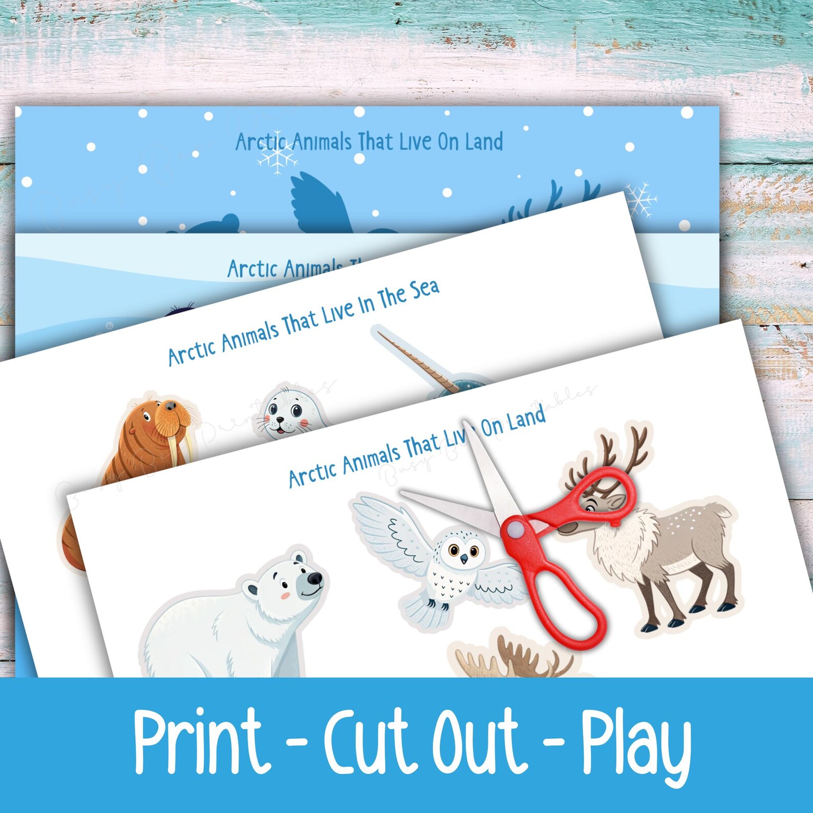 Arctic Animal Matching Game, Shadow Matching Activity, Winter Preschool ...