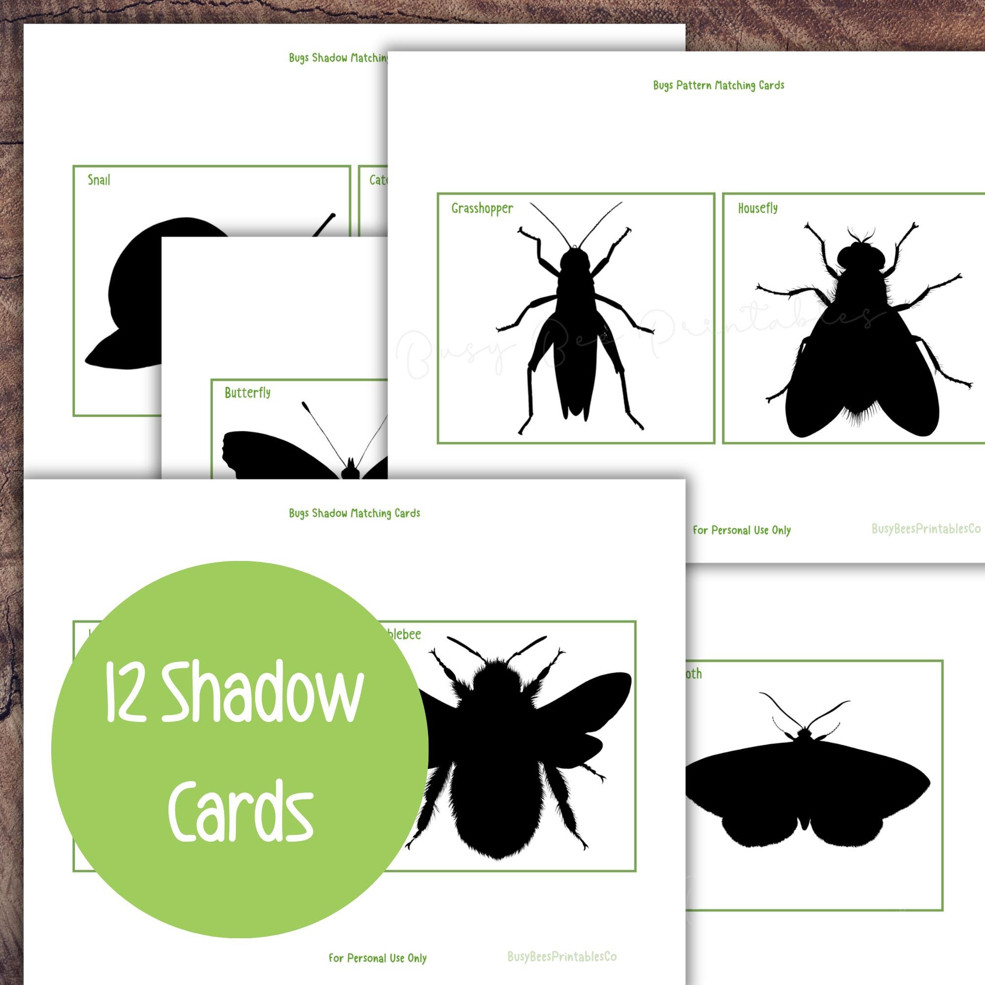 Bug Shadow Matching Cards, Montessori Printable Toddler Activity ...