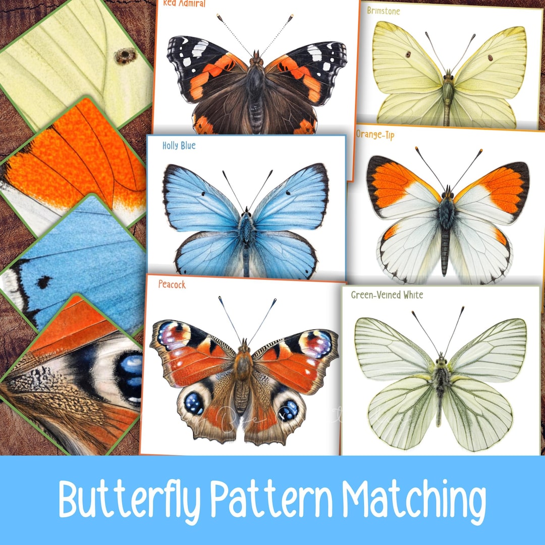 Butterfly Matching Activity for Kids, Butterflies Pattern Matching Game ...