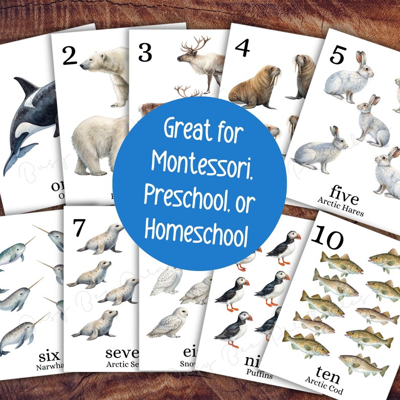 Arctic Animal Number Cards, Preschool Counting Activity Printable ...