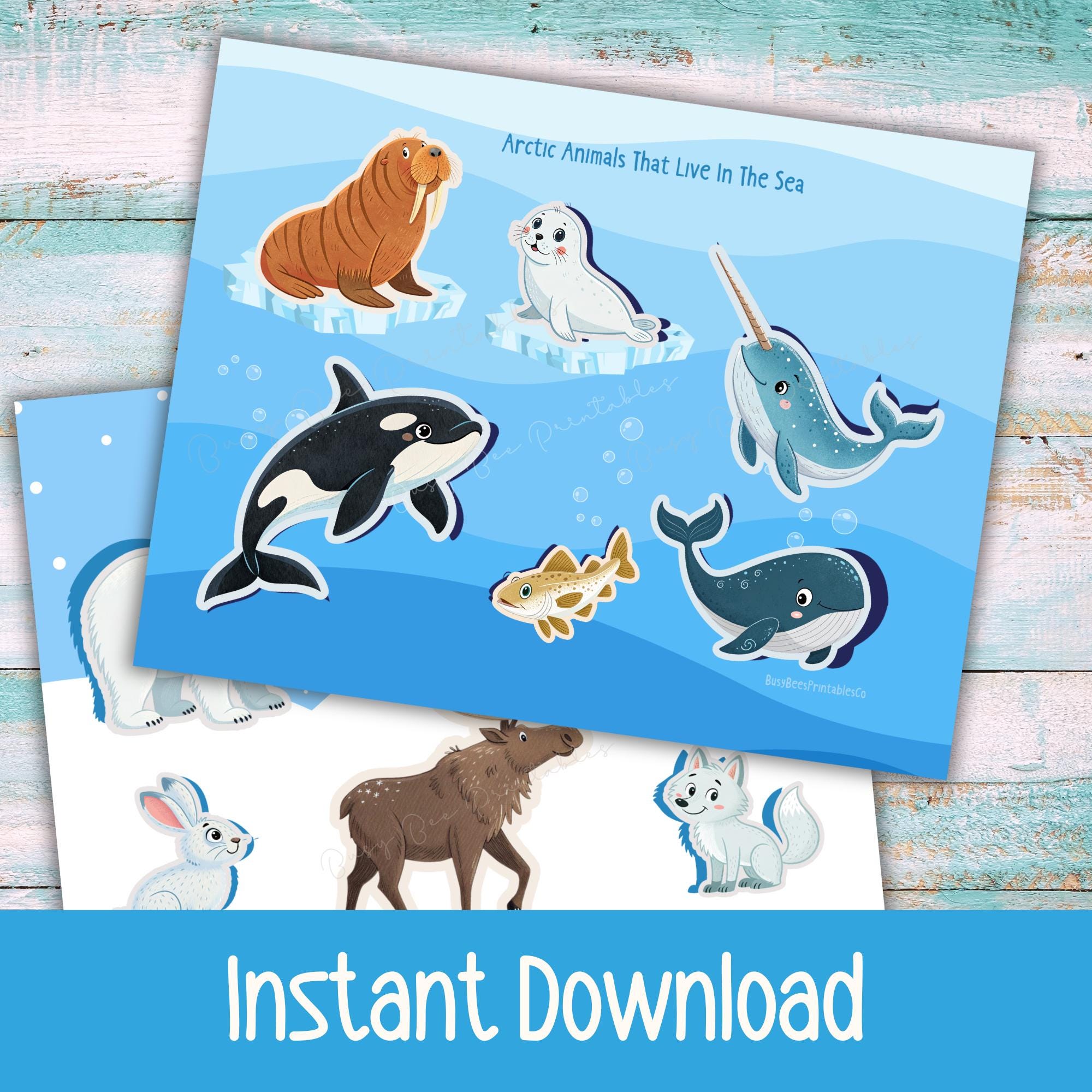 Arctic Animal Matching Game, Shadow Matching Activity, Winter Preschool ...