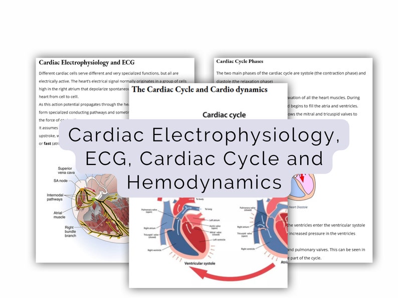 Cardiac Electrophysiology ECG Cardiac Cycle and Hemodynamics - Etsy