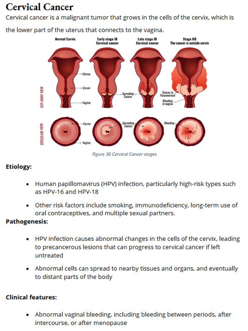 Obstetrics & Gynecology Complete Study Bundle Obgyn Summary Medical ...