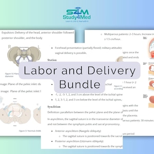 Labor and Delivery - Etsy