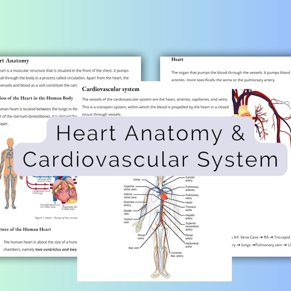 Musculoskeletal System Medical School Study Notes Orthopedics Muscular ...