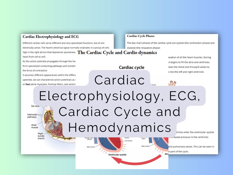 Cardiac Electrophysiology, ECG, Cardiac Cycle and Hemodynamics ...
