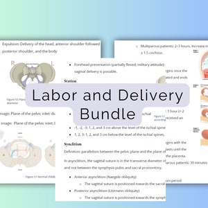 Labor and Delivery - Etsy