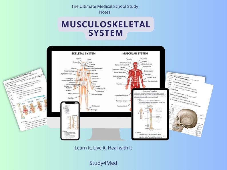 Musculoskeletal System Medical School Study Notes | Orthopedics ...