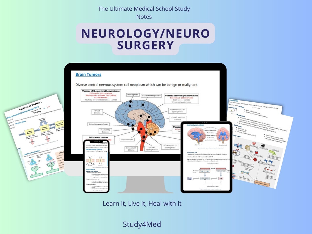 Medical Neurology & Neurosurgery Study Bundle | Nervous System Guide ...