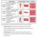 Musculoskeletal System Medical School Study Notes | Orthopedics ...