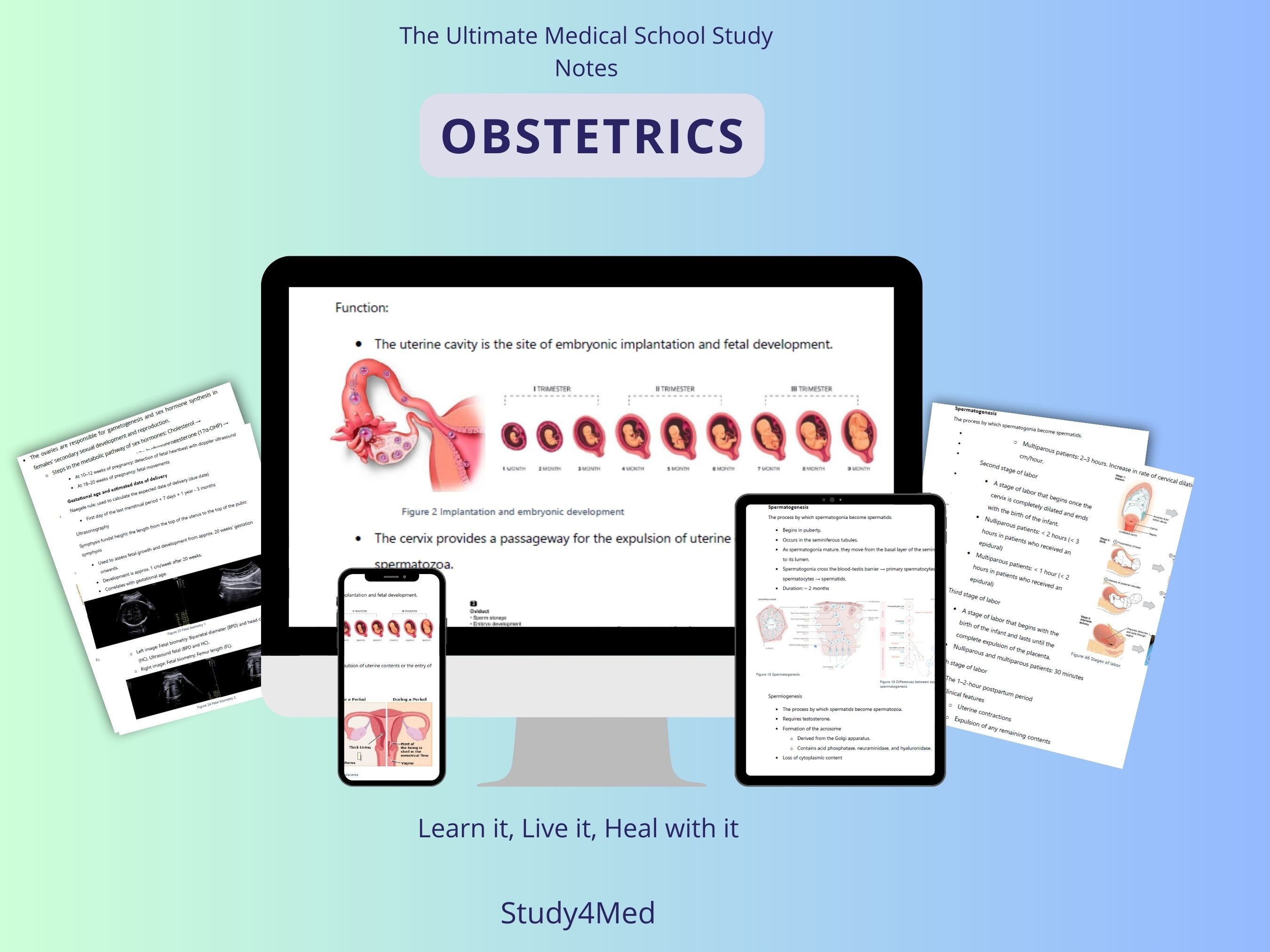 Obstetrics & Gynecology Complete Study Bundle Obgyn Summary Medical ...