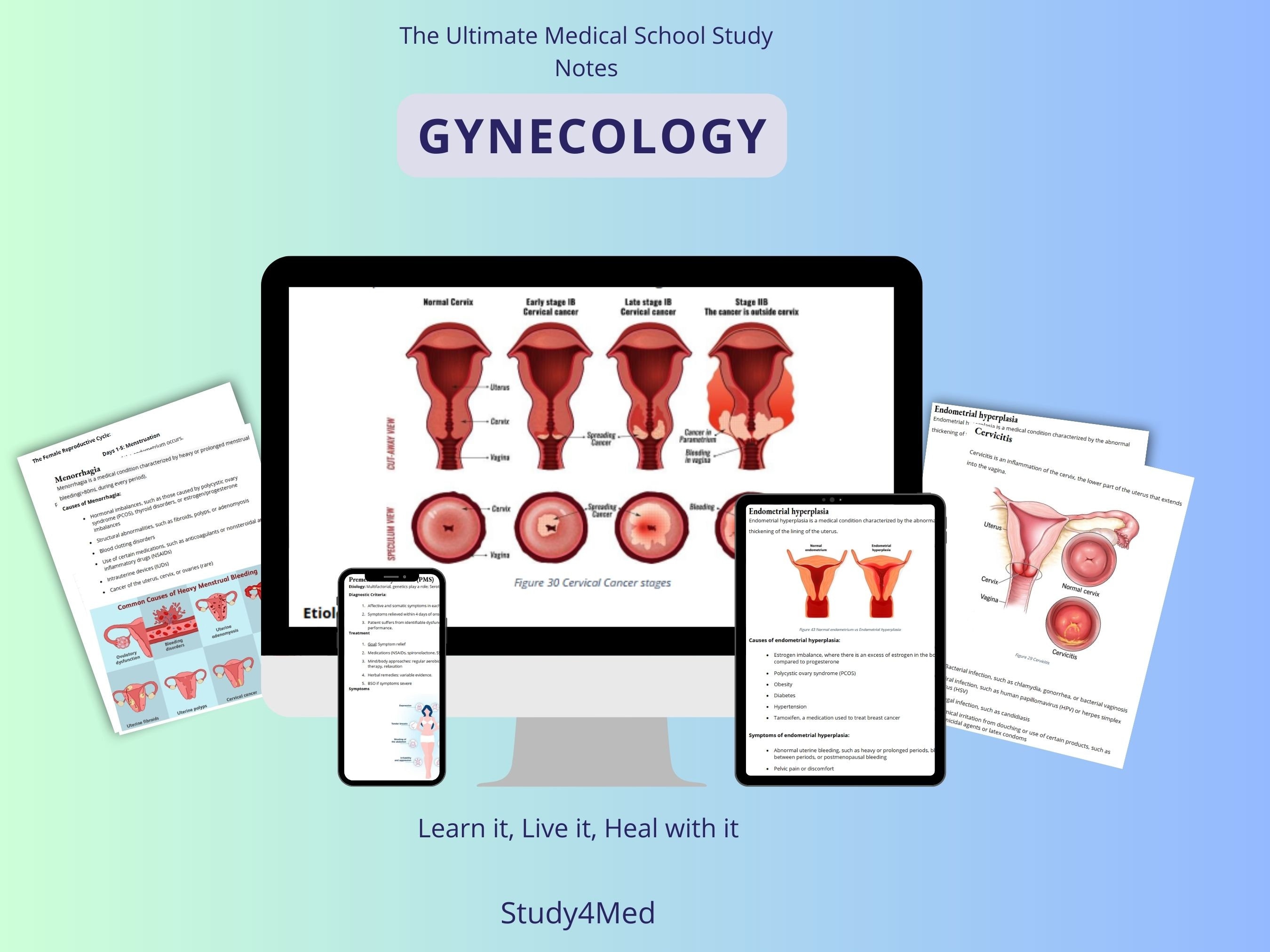 Obstetrics & Gynecology Complete Study Bundle Obgyn Summary Medical ...
