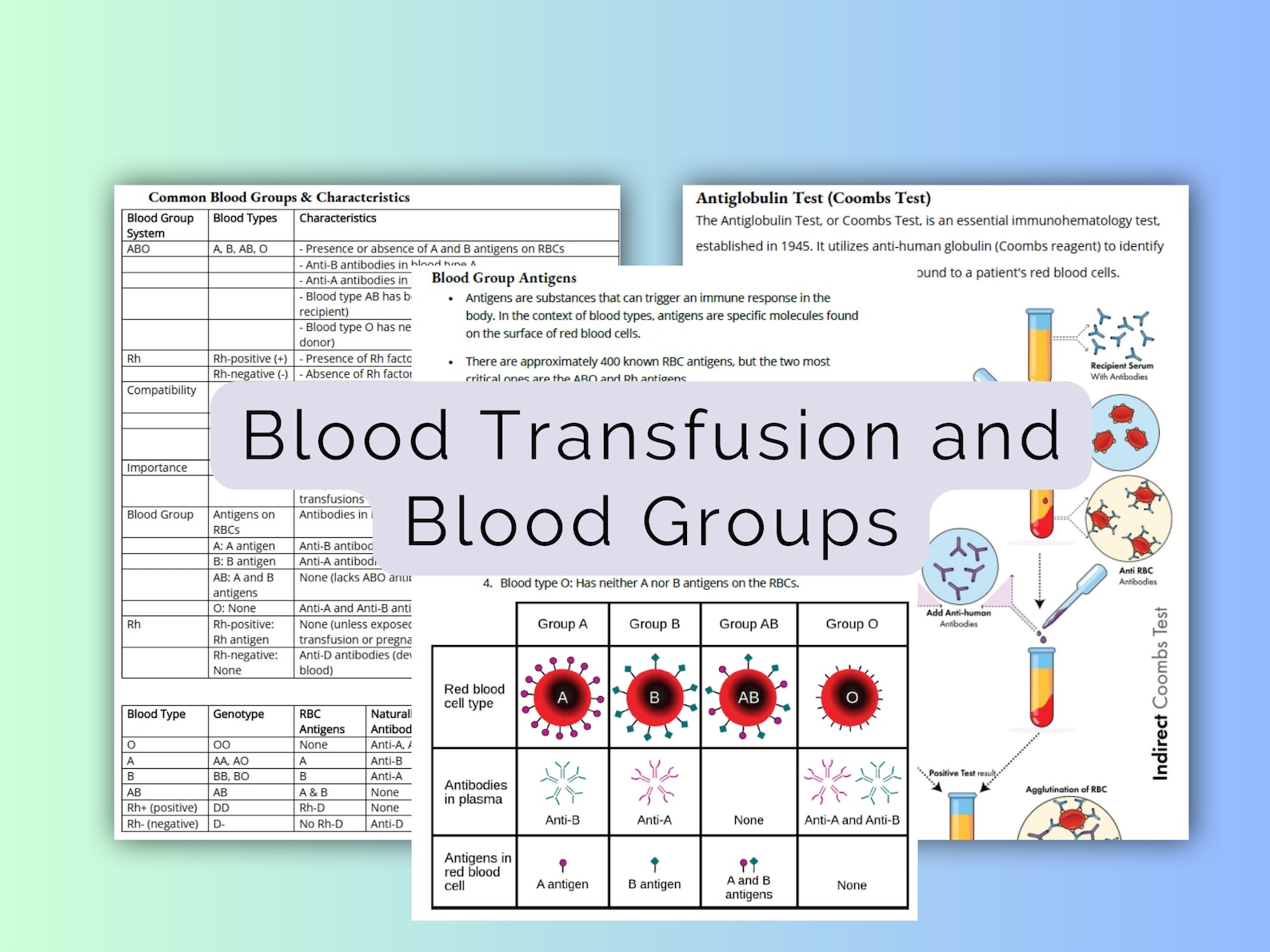 Blood Transfusion and Blood Groups Study Bundle |medical School Bundle ...