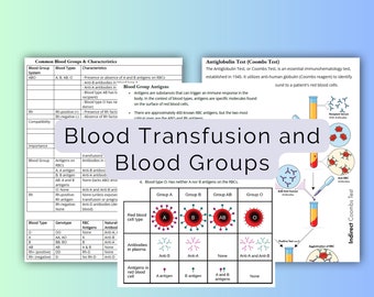 Blood Disorders Study Bundle |medical School Bundle | Hematology System ...