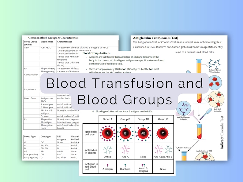 Blood Transfusion and Blood Groups Study Bundle |medical School Bundle ...